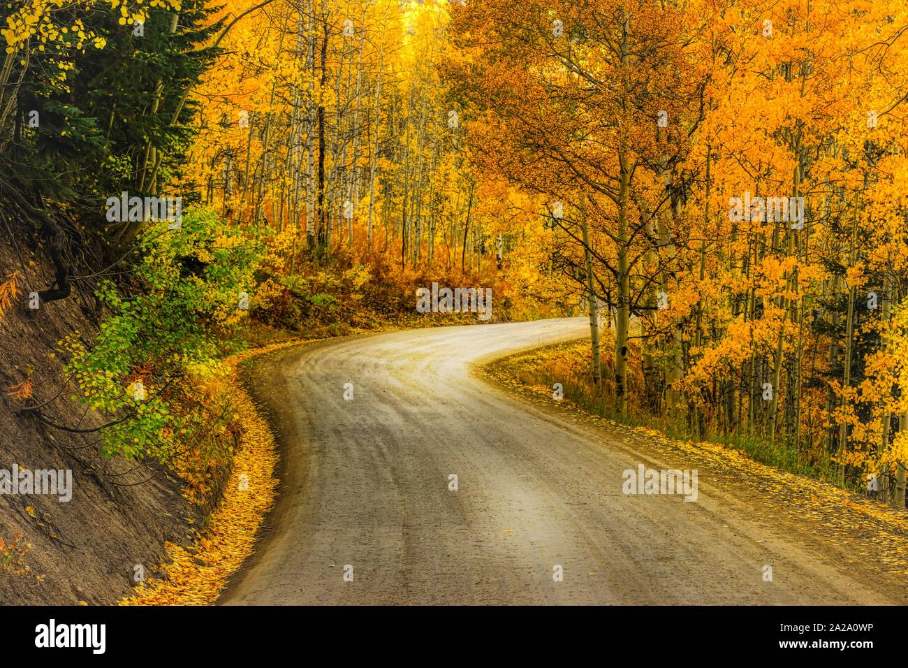 Colorado fall colors hi-res stock photography and images - Alamy