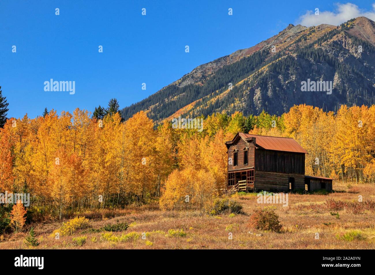 Colorado fall colors hi-res stock photography and images - Alamy