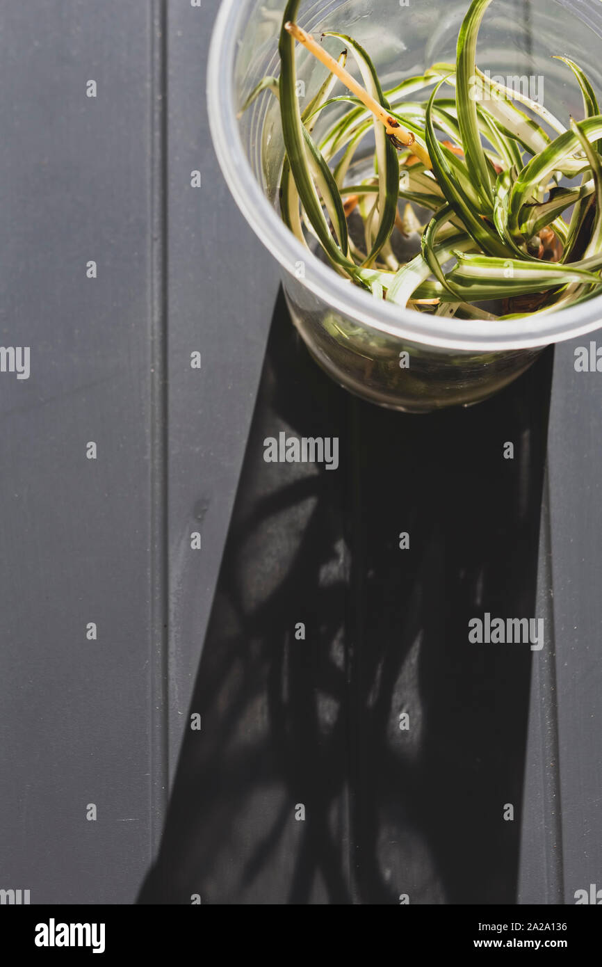 Plastic pollution concept hi-res stock photography and images - Alamy