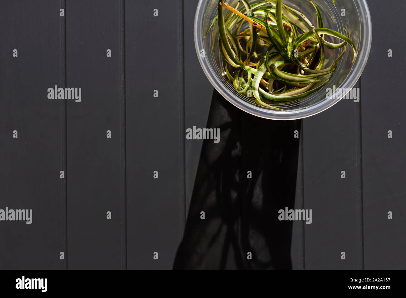 Plastic pollution concept hi-res stock photography and images - Alamy