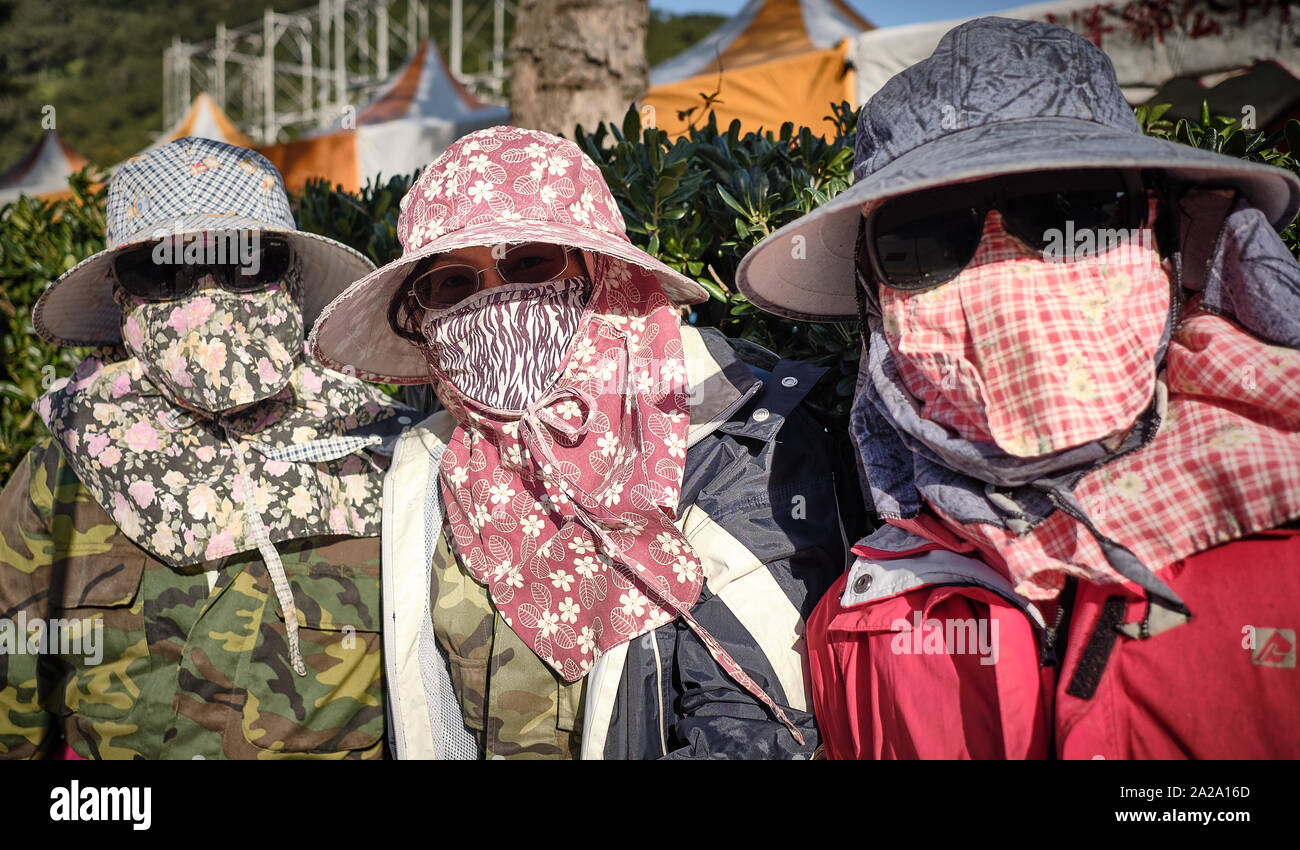 Hiding for the sun hi-res stock photography and images - Alamy
