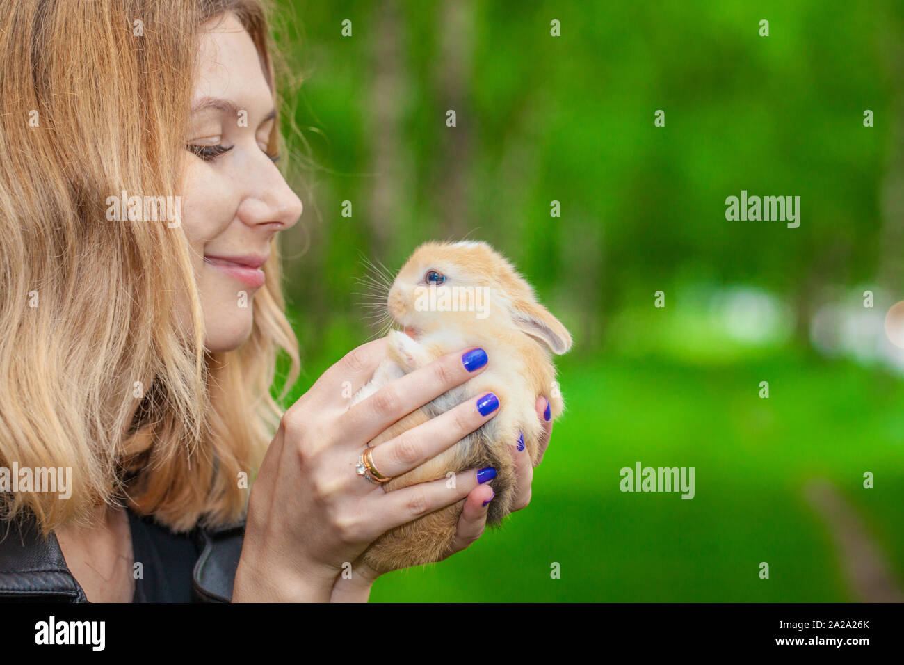Beautiful girl posing with a rabbit. A woman looks at a hare. Human and ...