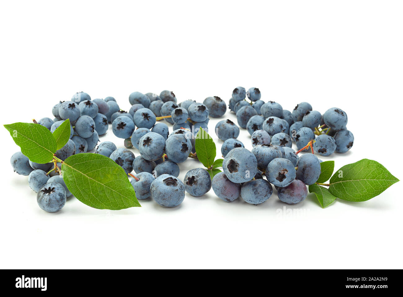 Blueberry with leaf closeup isolated on white background Stock Photo ...