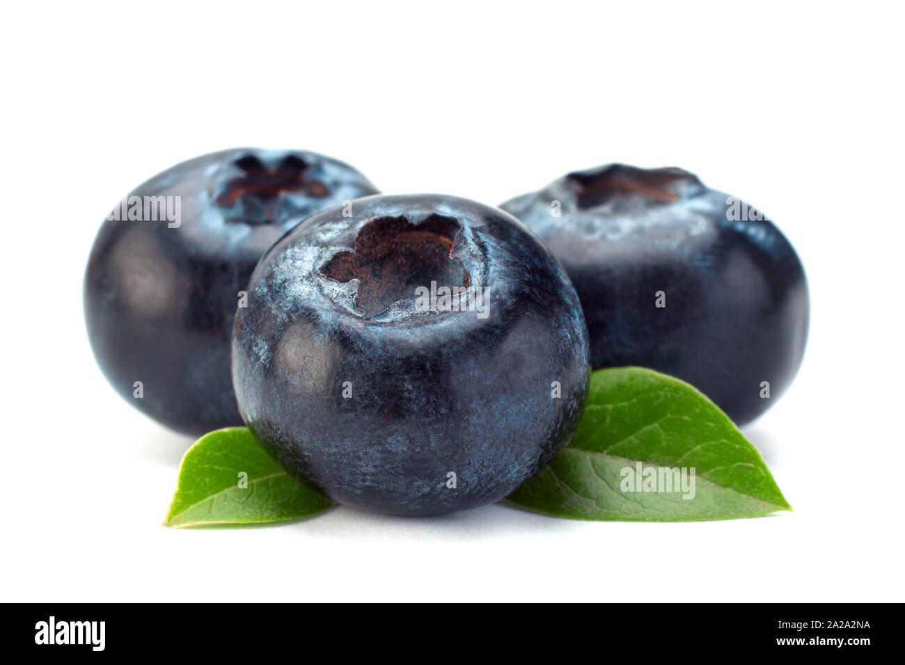 Blueberry with leaf closeup isolated on white background Stock Photo ...