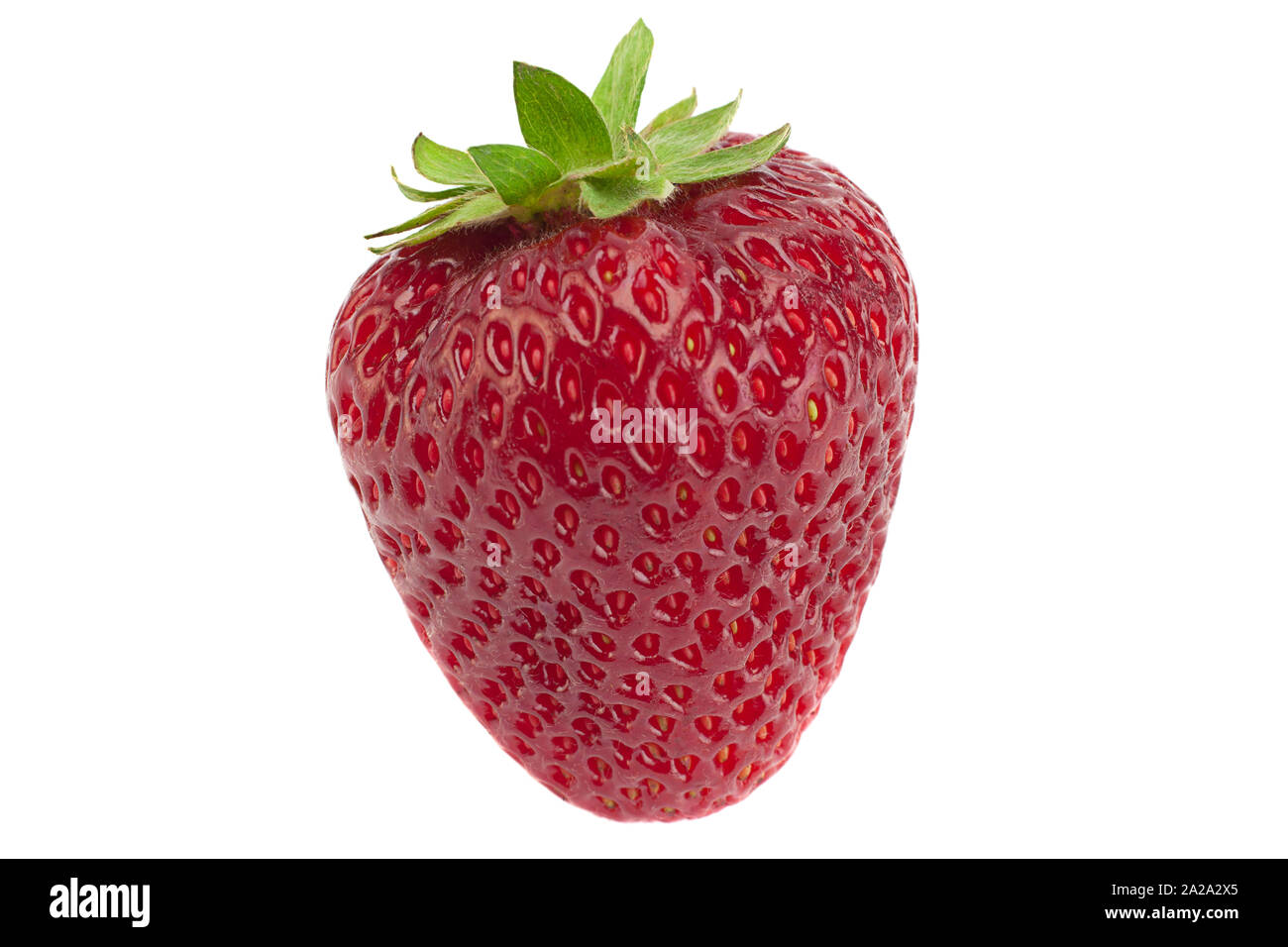 Strawberry fruit closeup isolated on white background Stock Photo - Alamy