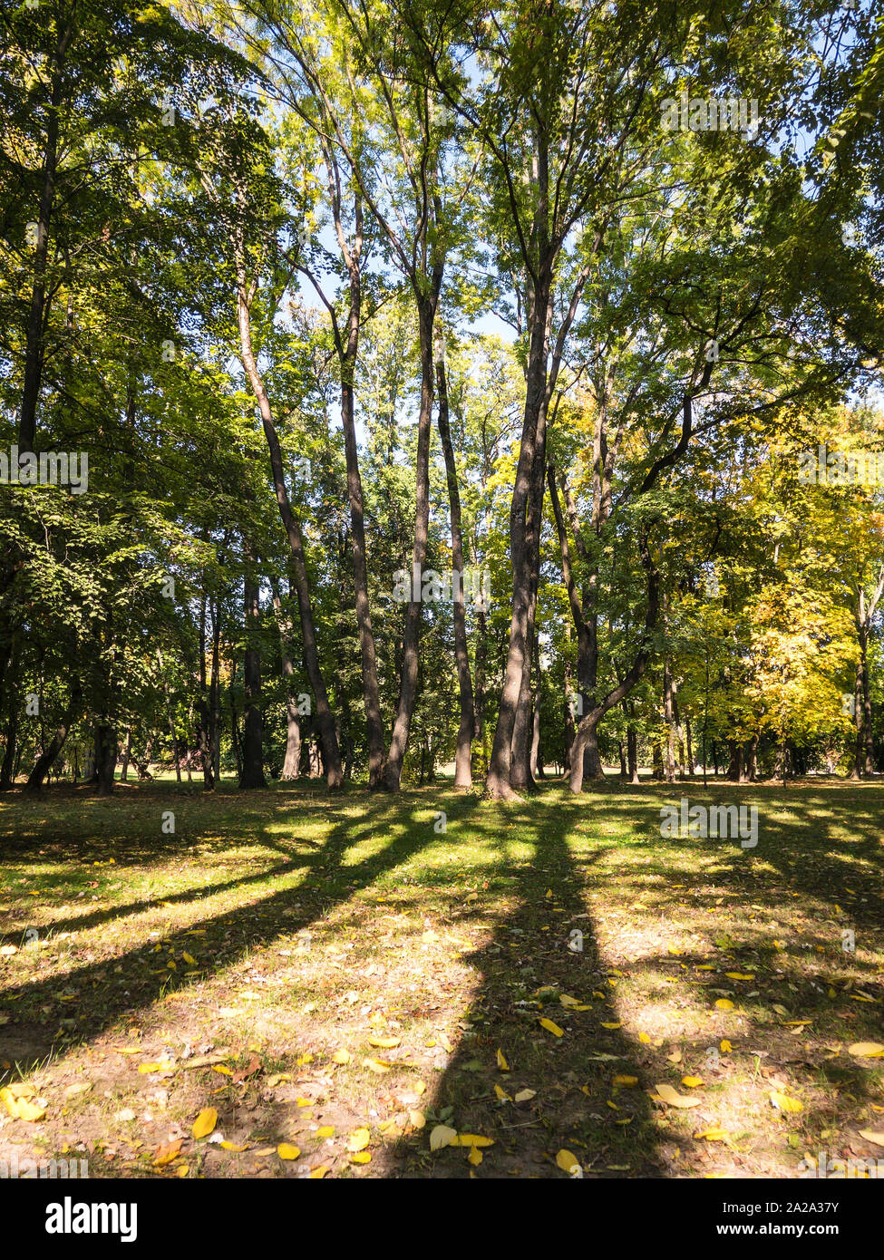 Back lit scene hi-res stock photography and images - Alamy