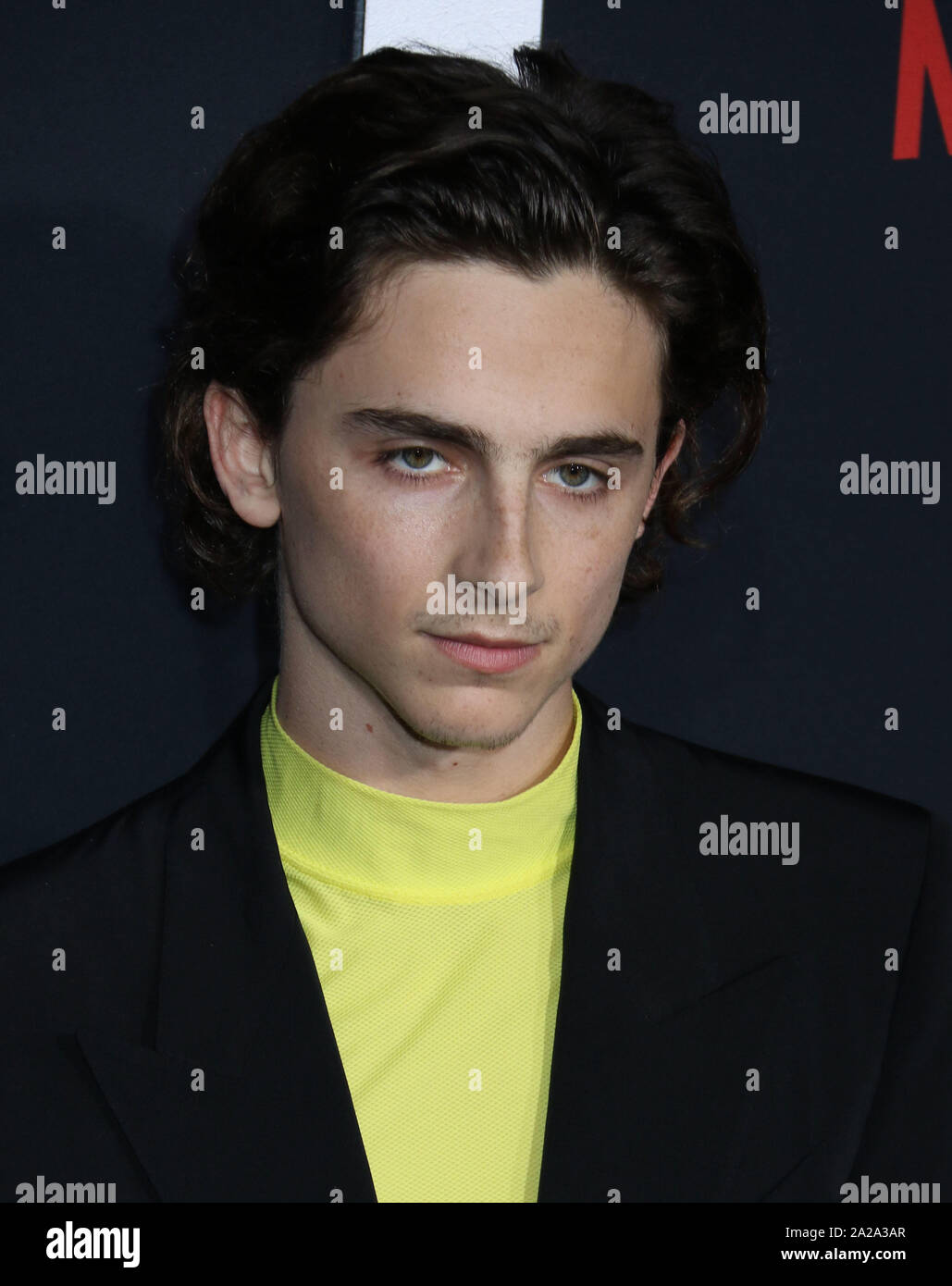October 1, 2019, New York, New York, USA: Actor TIMOTHEE CHALAMET ...