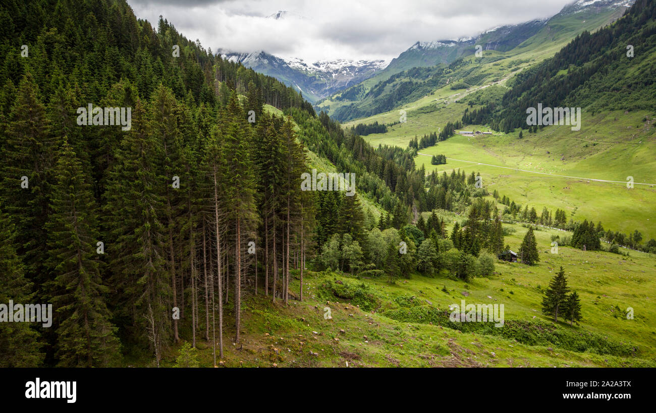 Fuscher hi-res stock photography and images - Alamy
