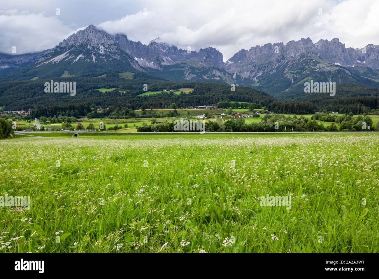 Wilder Kaiser mountains (Kaisergebirge in German), with a wildflower ...