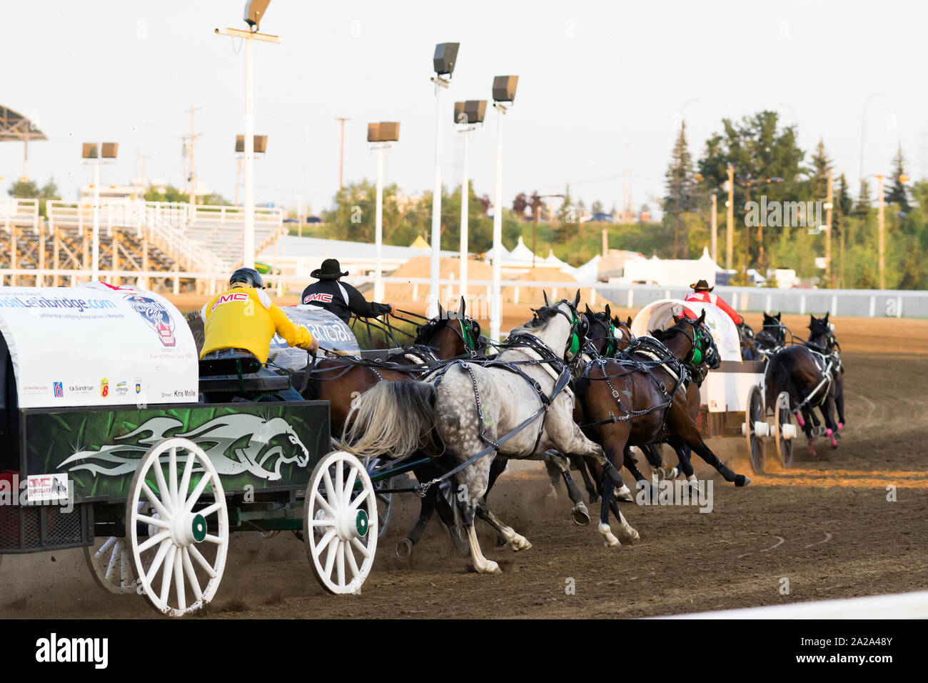 Calgary stampede chuckwagon hi-res stock photography and images - Alamy