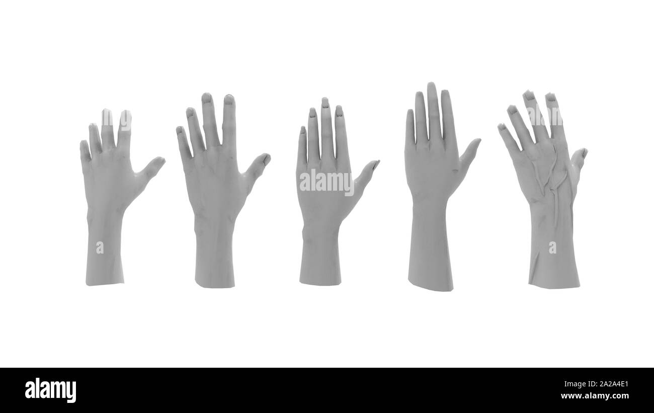3d rendering of multiple hands isolated in white studio background ...