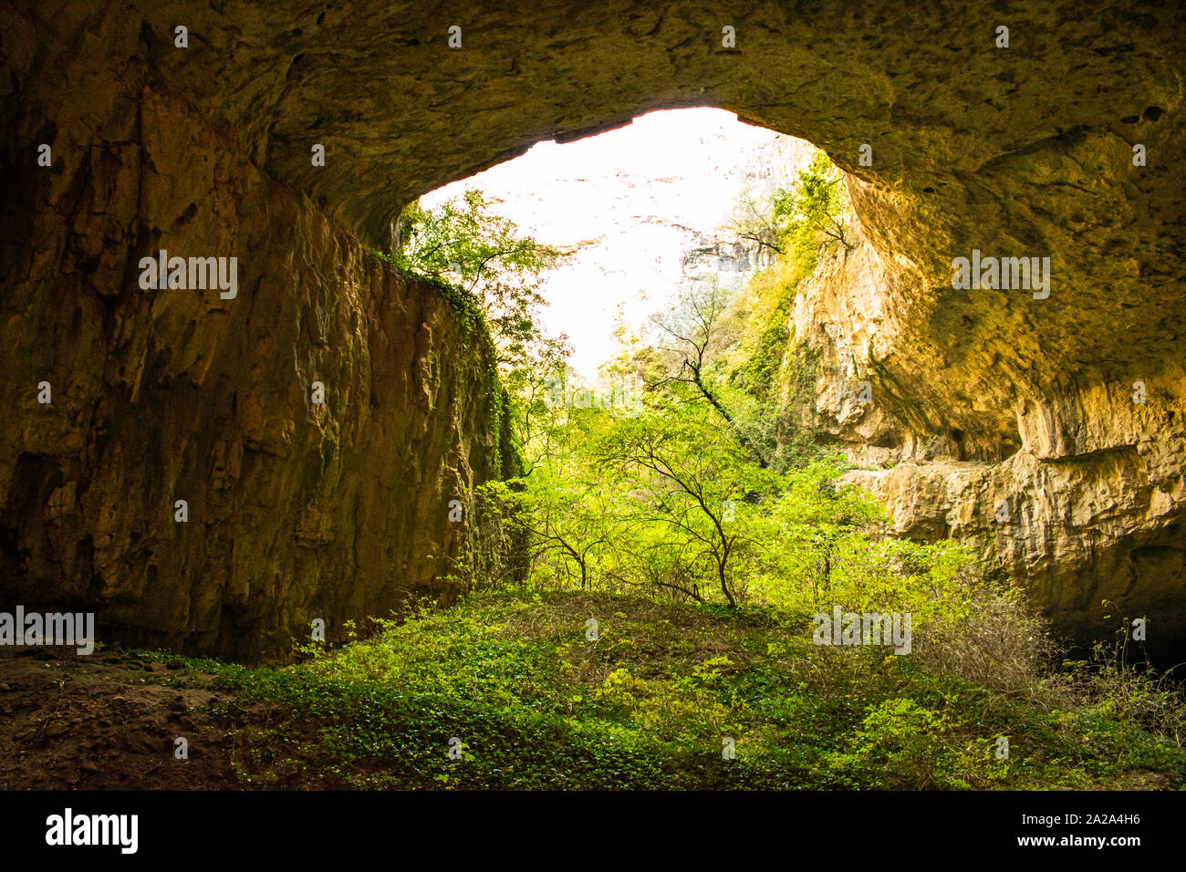 View inside the Devetashka Cave near Devetaki village and Osam river in ...