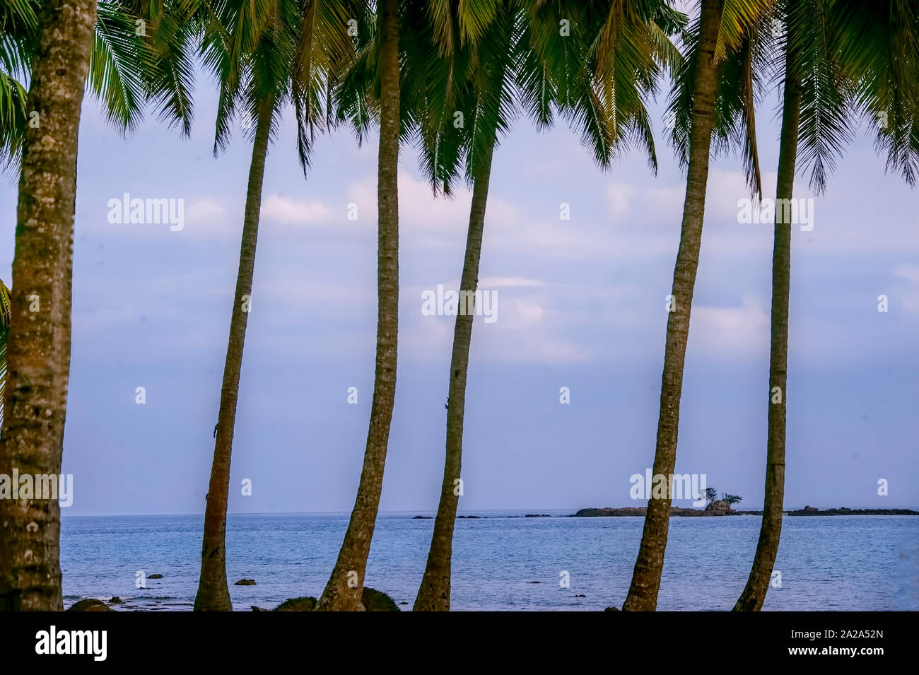 Landscape,Andaman Sea,Coconut troves,small ,island,Port Blair,Andaman ...