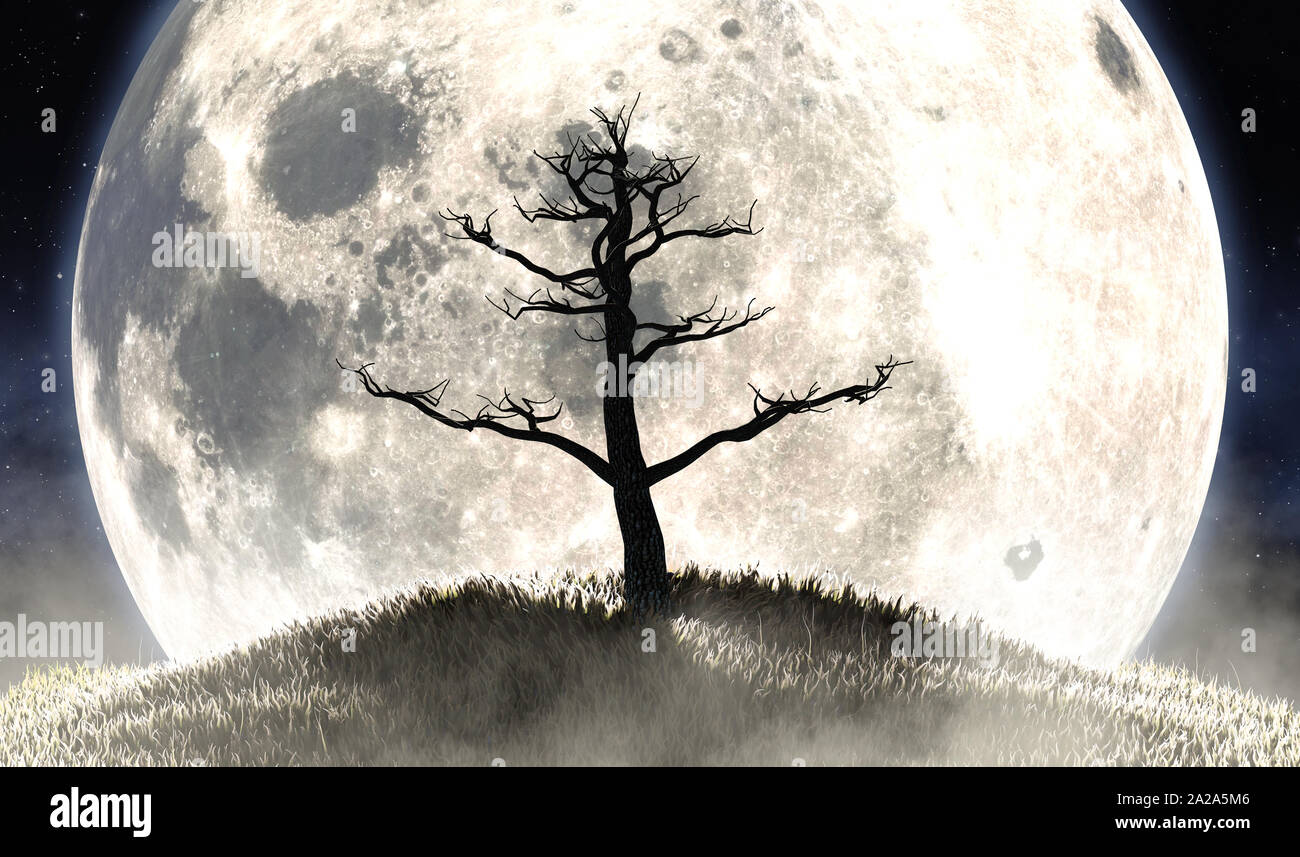 A concept image showing a dead leafless tree on a grassy hill at night ...