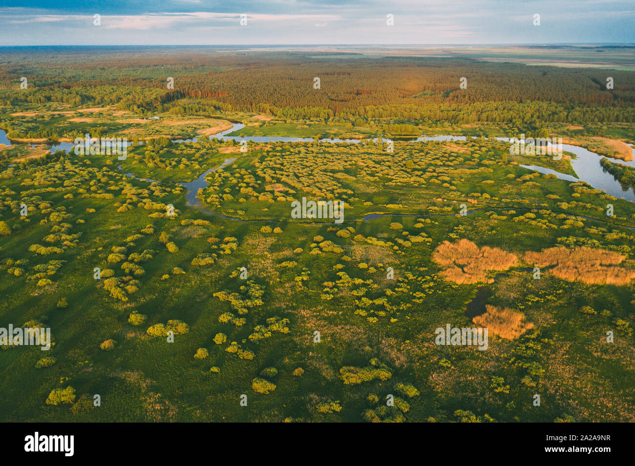 Aerial View Of Plain With Green Forest Woods And River Landscape In ...