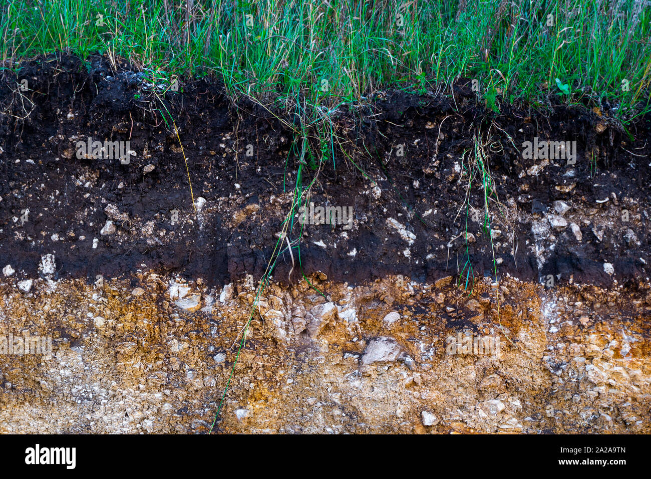 Soil cut-sandstone, stones, clay, sand structure and layers. slice of ...