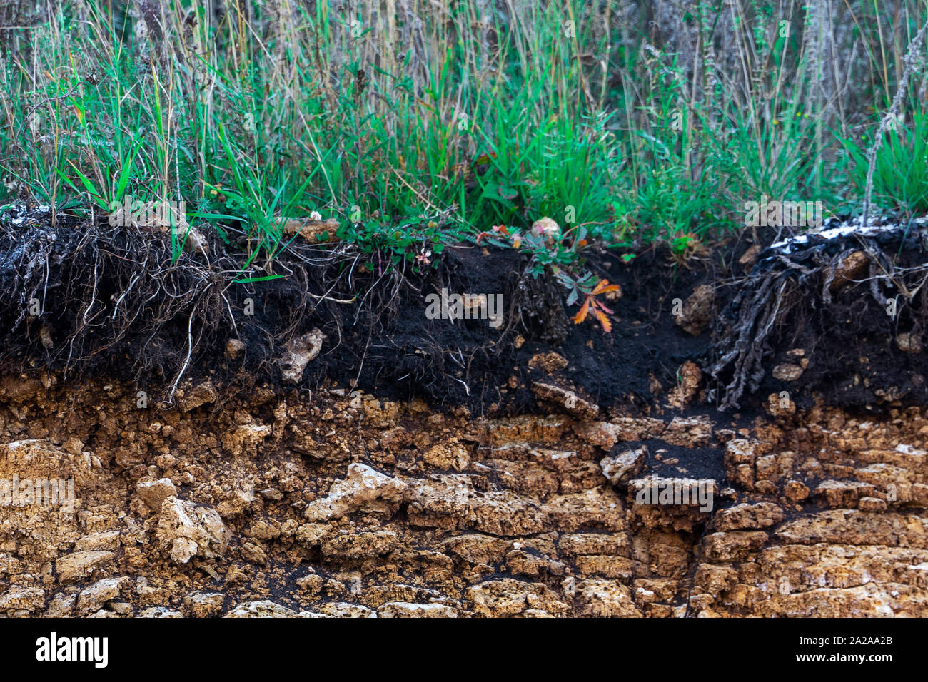 Soil cut-sandstone, stones, clay, sand structure and layers. slice of ...
