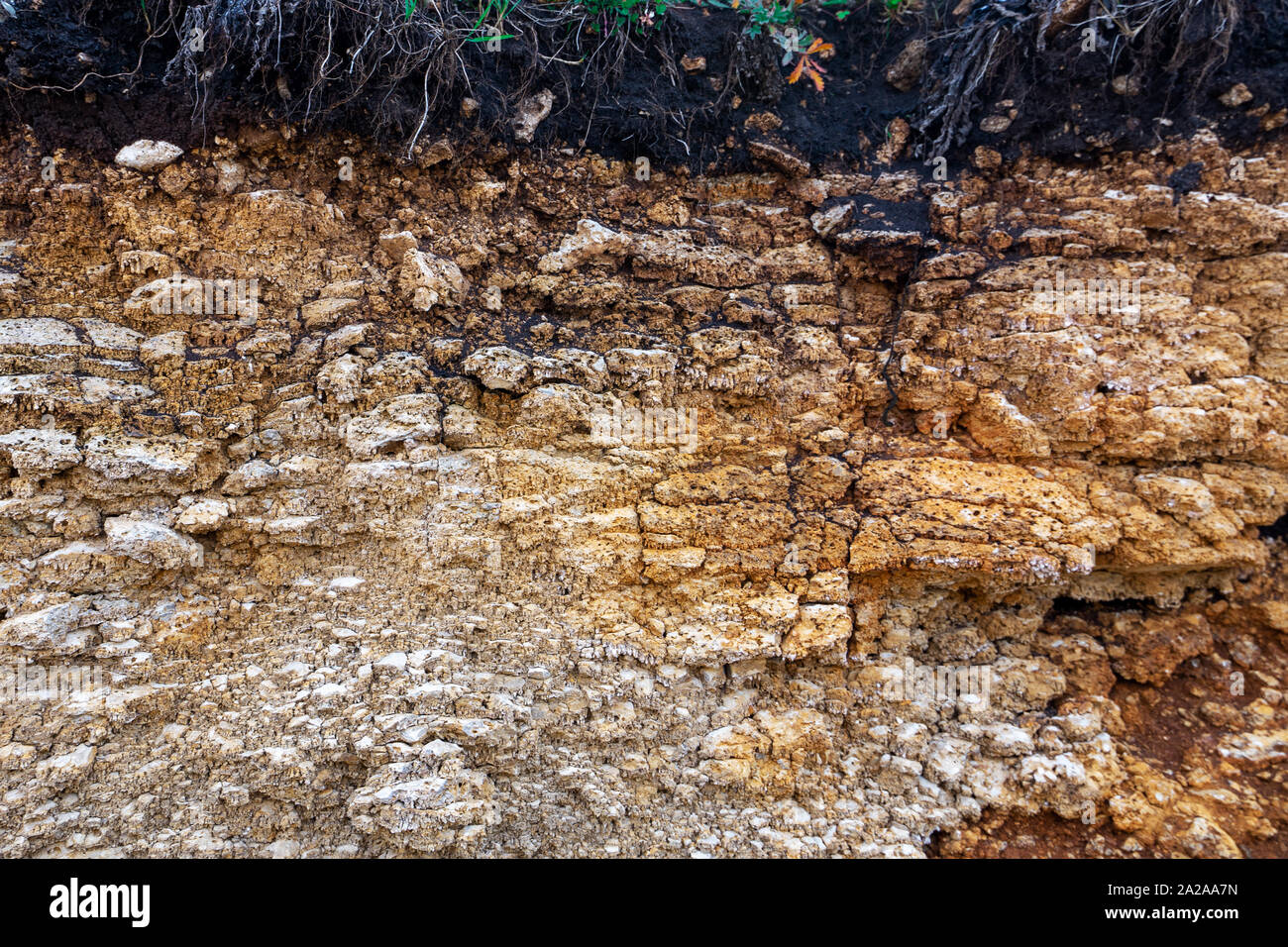 Soil cut-sandstone, stones, clay, sand structure and layers. slice of ...