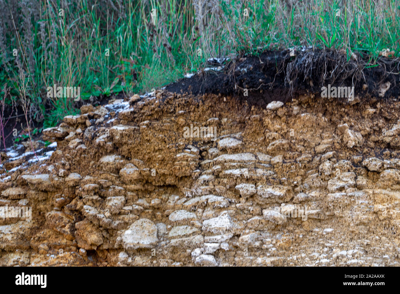 The curb erosion from storms. To indicate the layers of soil and rock ...