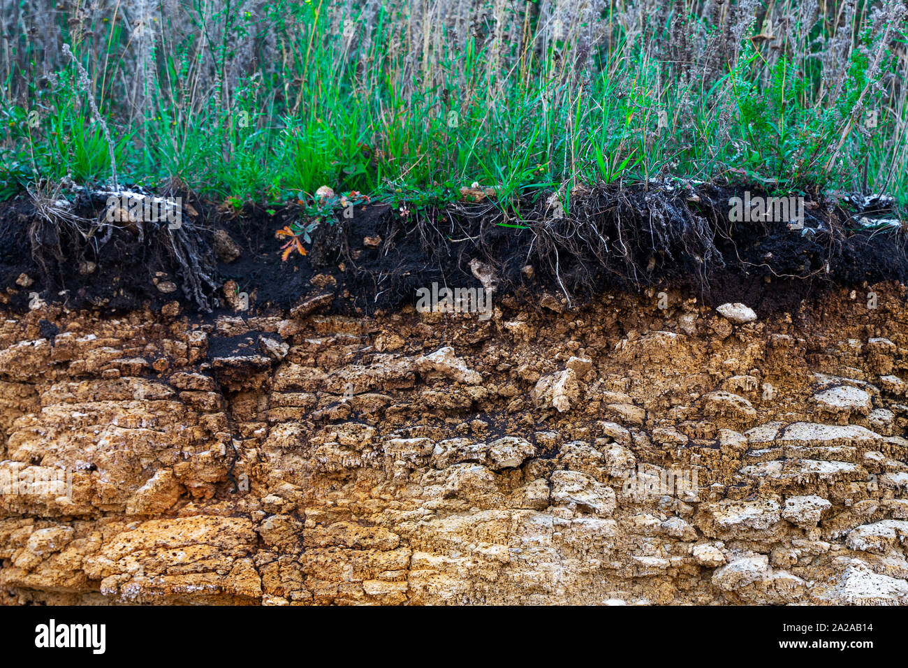 The curb erosion from storms. To indicate the layers of soil and rock ...