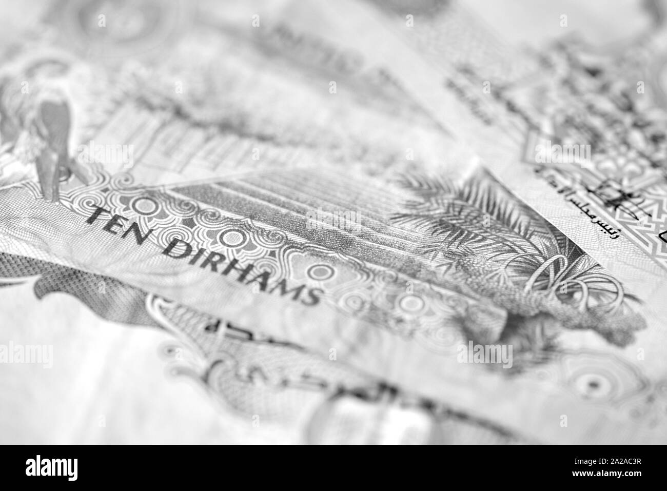 United Arab Emirates dirhams close up. Monochrome money background ...