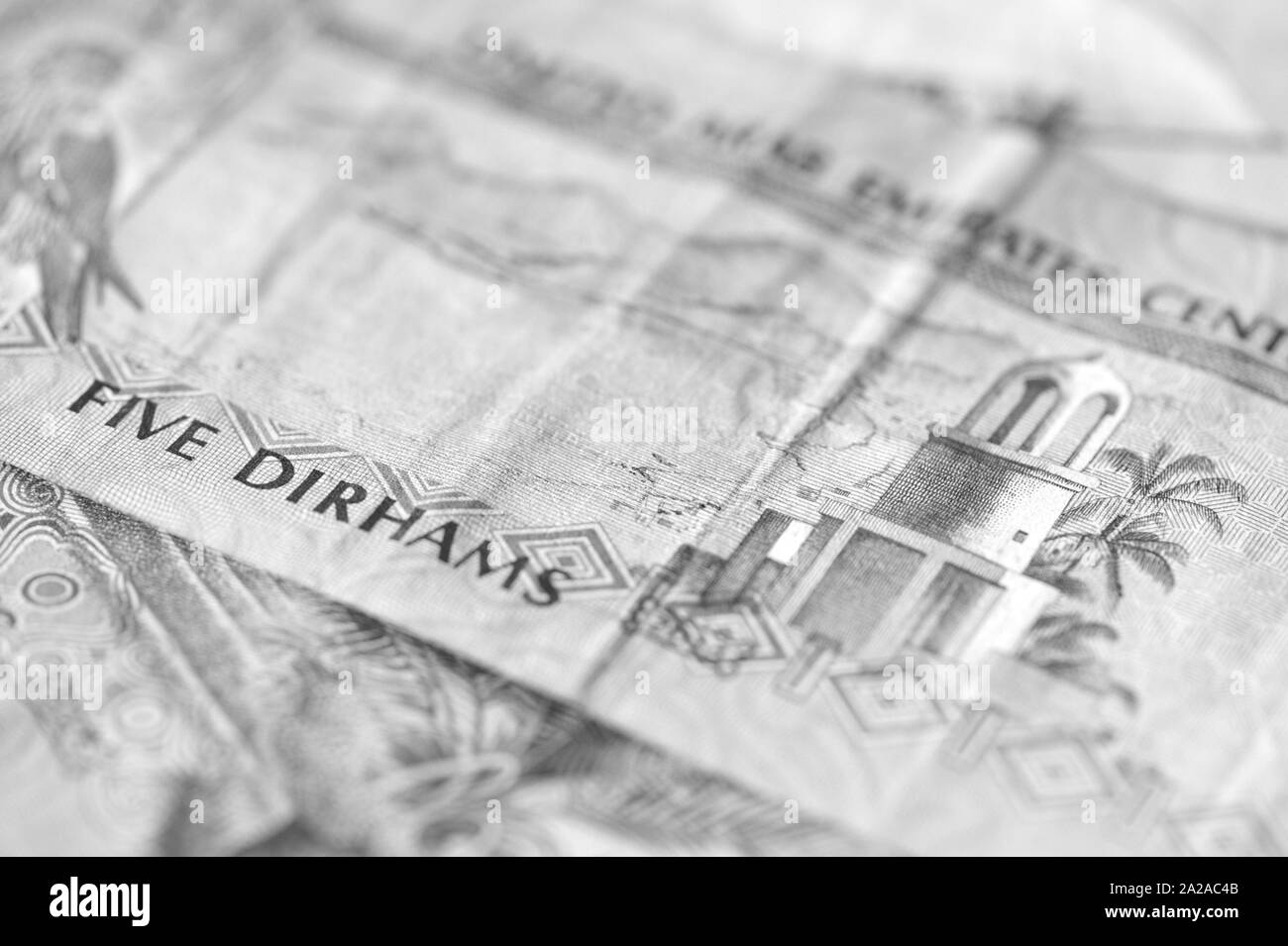 United Arab Emirates dirhams close up. Monochrome money background ...