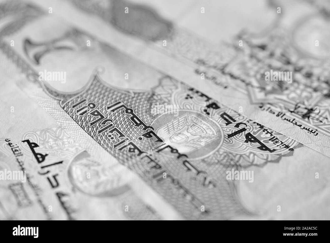 United Arab Emirates dirhams close up. Monochrome money background ...