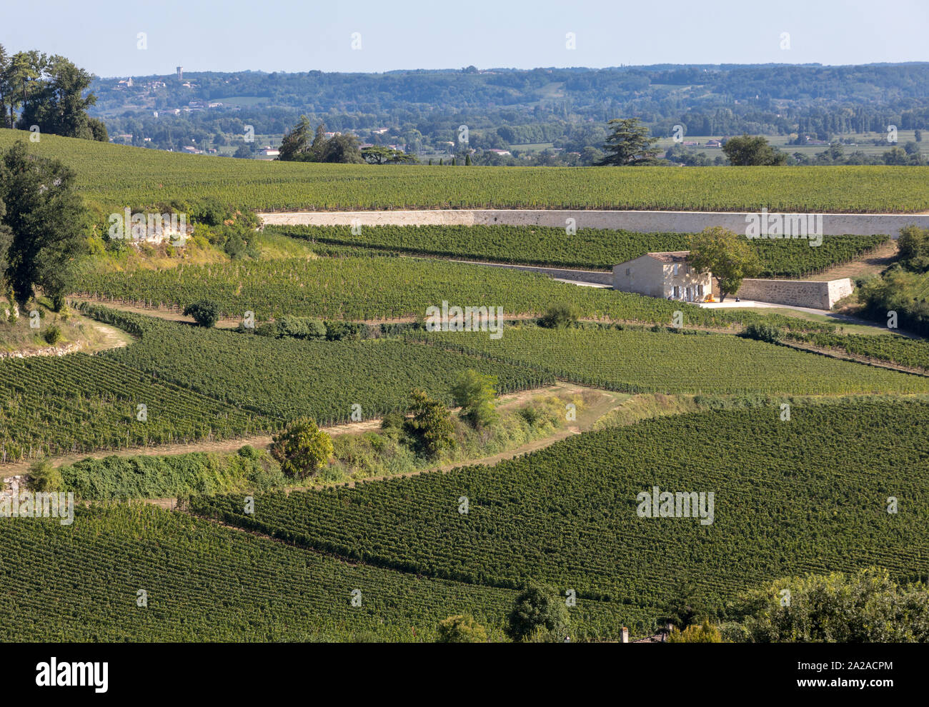 Famous French Vineyards at Saint Emilion town near Bordeaux, France. St ...