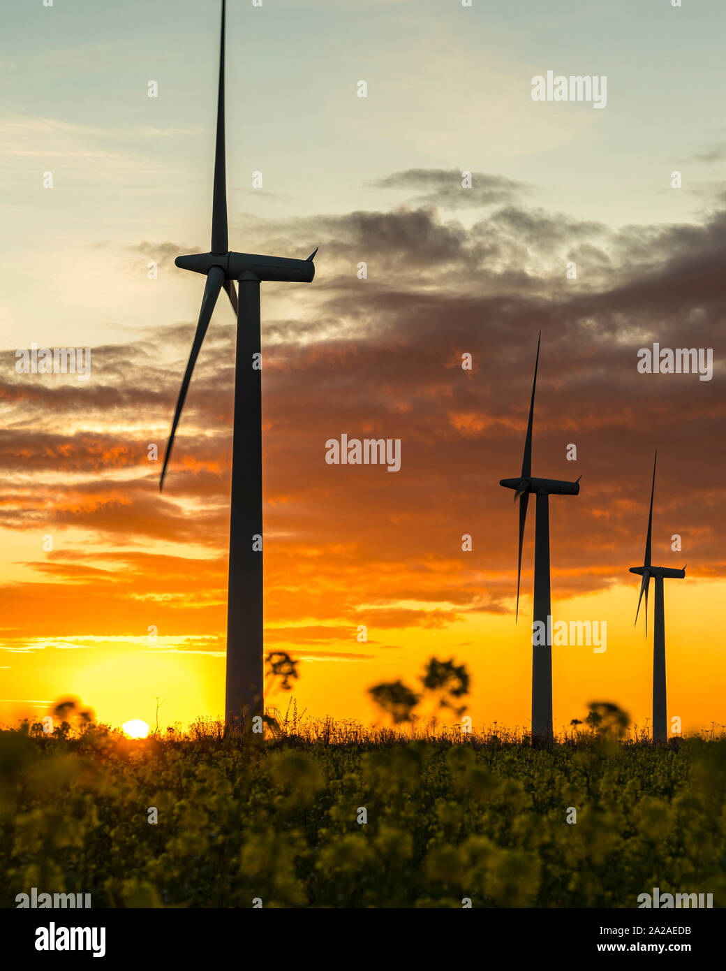 Commercial Wind Turbines High Resolution Stock Photography and Images ...