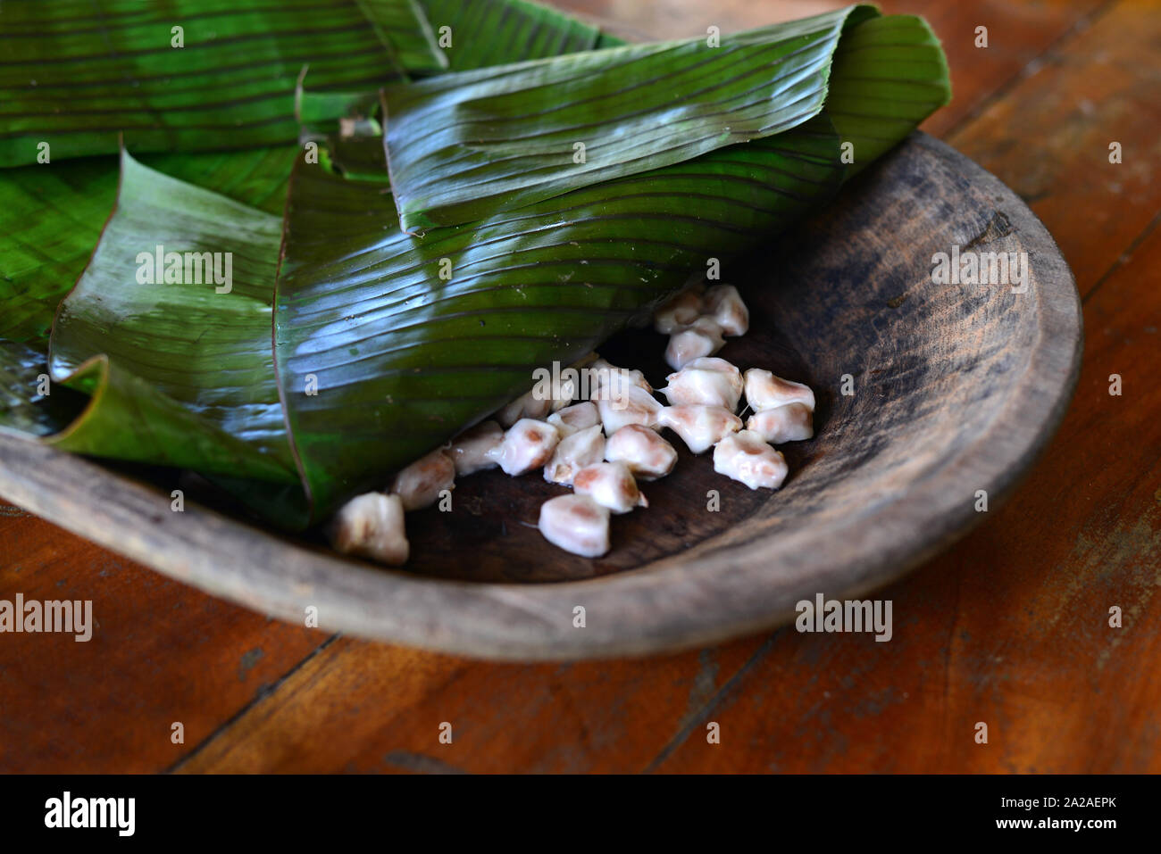 Cocoa beans farm hi-res stock photography and images - Alamy