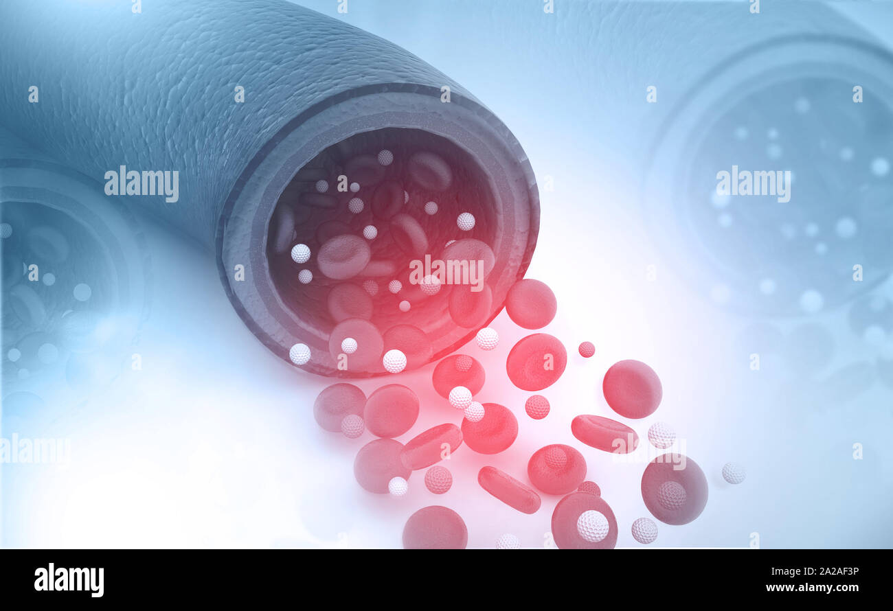 Blood cells in human hi-res stock photography and images - Alamy