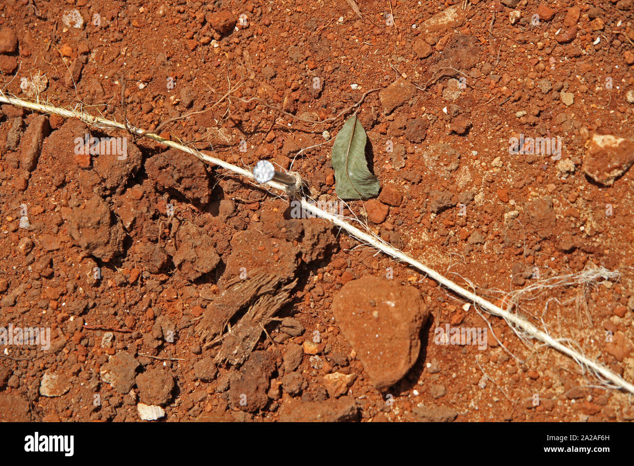 String line nailed into bare ground for swimming pool area foundation ...