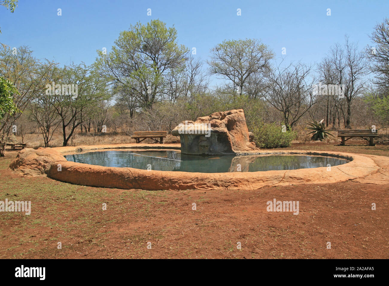 Man-made pond with waterfall rock in savannah, Marloth Park, Mpumalanga ...