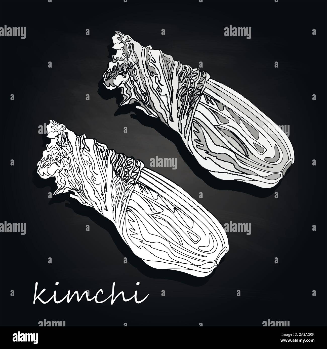 Kimchi, traditional korean food. Illustration on black Stock Vector ...