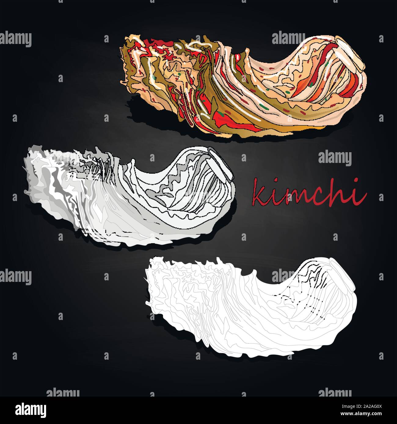 Food kimchi white radish Stock Vector Images - Alamy