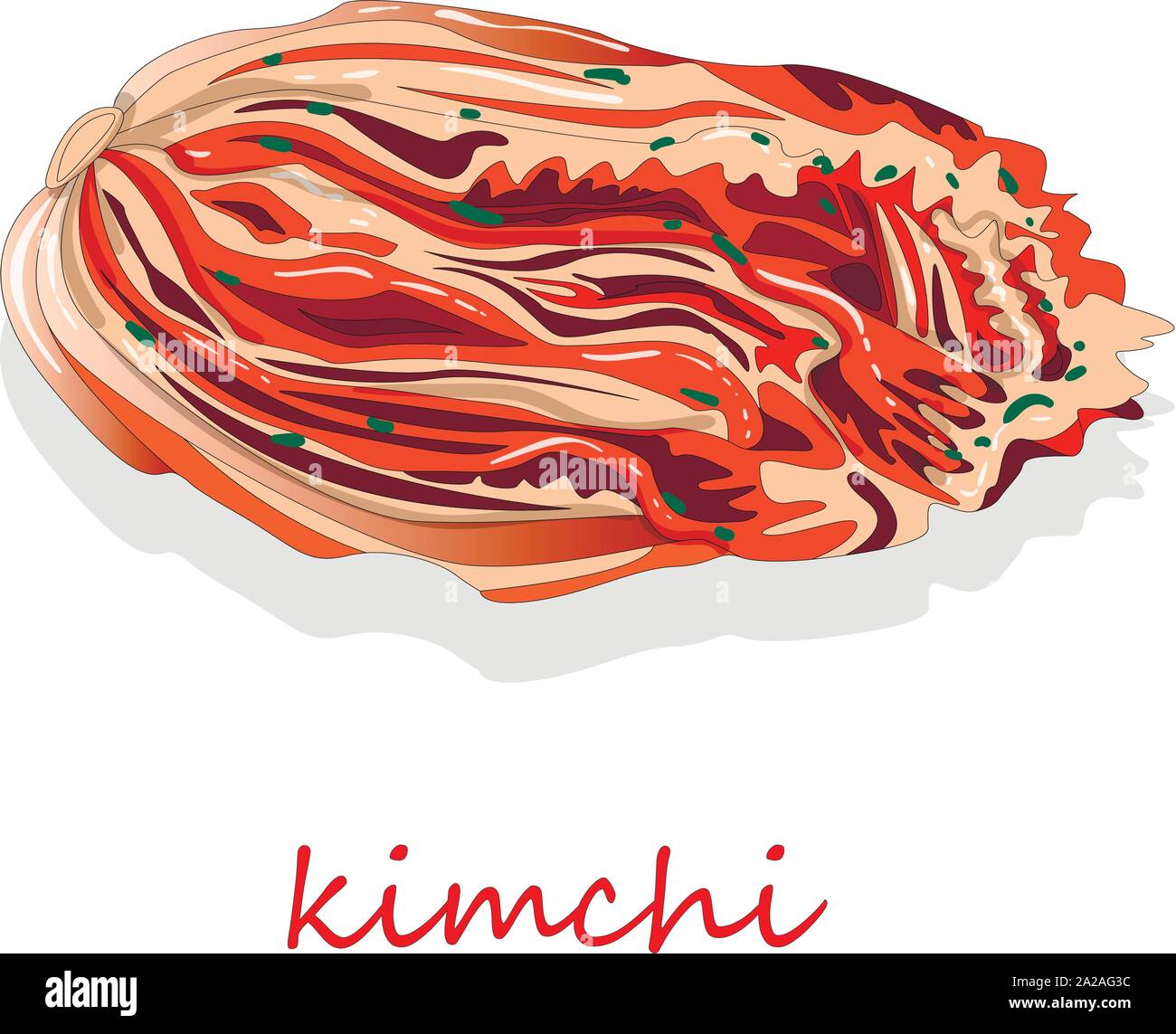 Kimchi, traditional korean food. Illustration on white Stock Vector ...