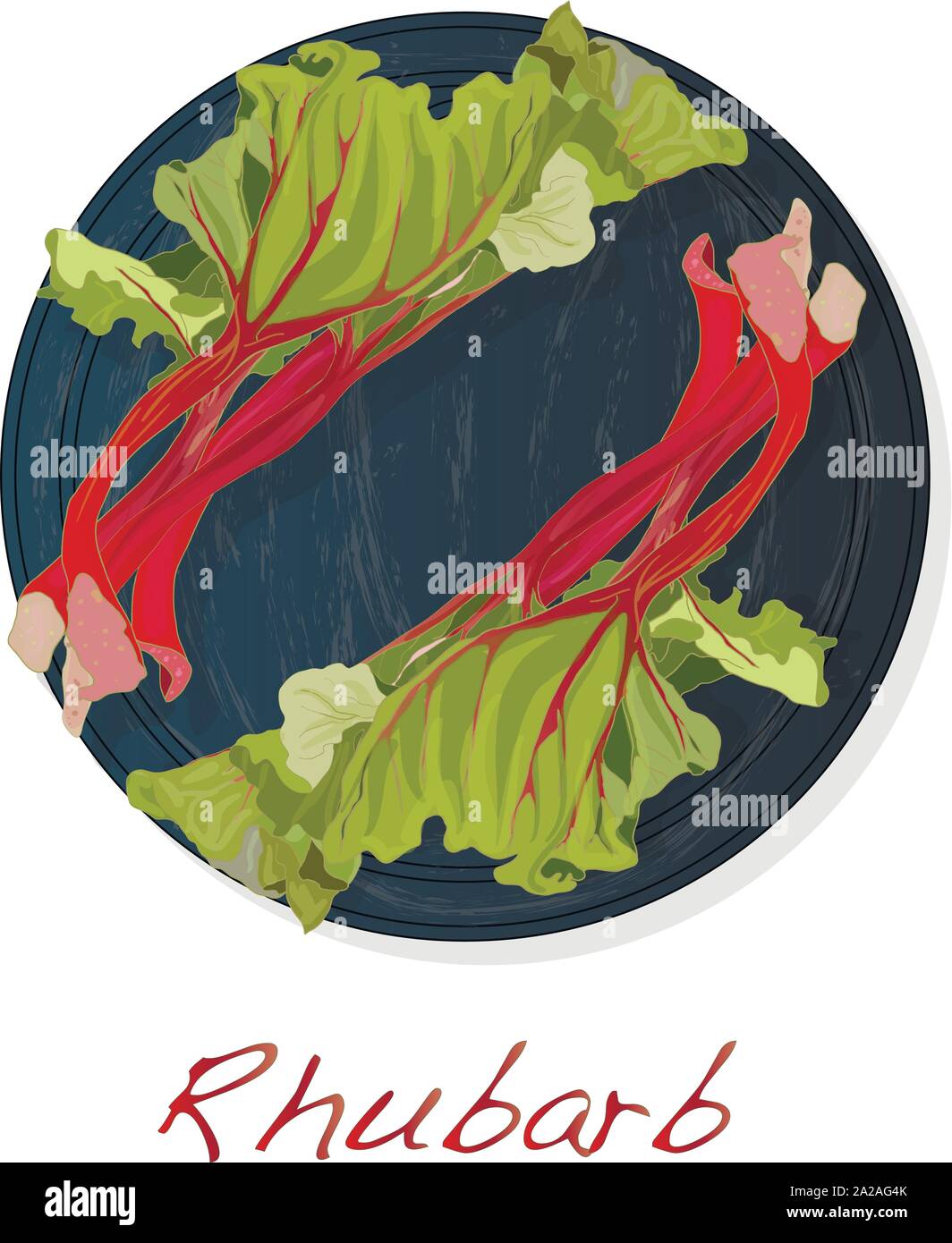 Fresh rhubarb. Rhubarb leavs on stone dish isolated on white. Vector ...