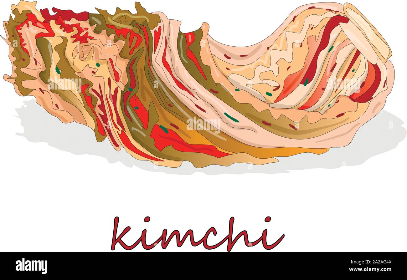 Kimchi, traditional korean food. Illustration on white Stock Vector ...