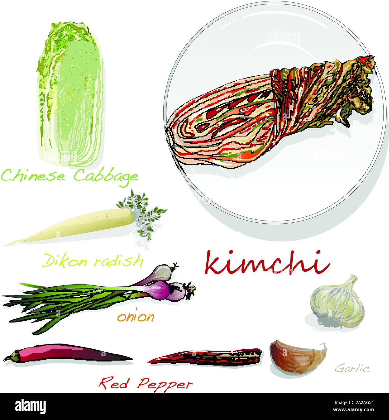 Kimchi, traditional korean food. Illustration on white. Ingredients for ...