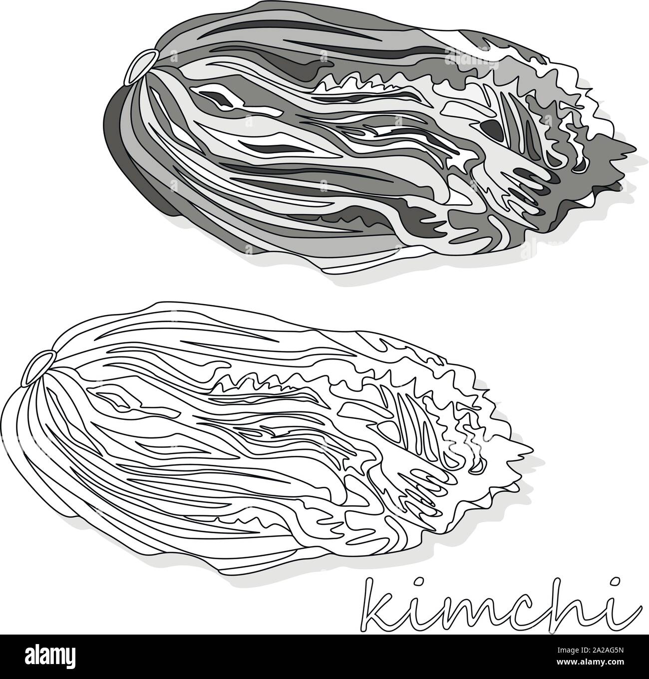 Kimchi, traditional korean food. Illustration on white Stock Vector ...
