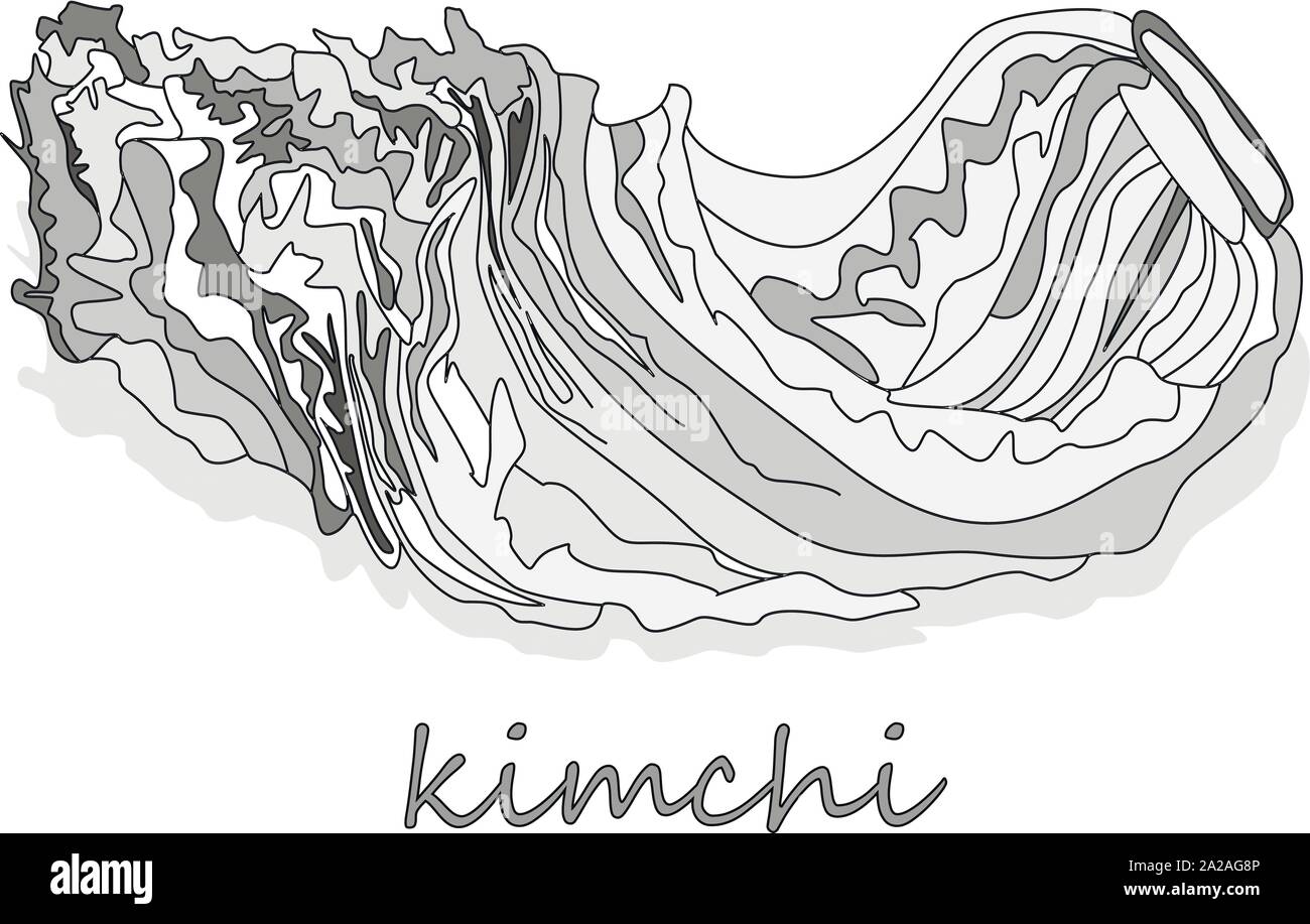 Kimchi, traditional korean food. Illustration on white Stock Vector ...