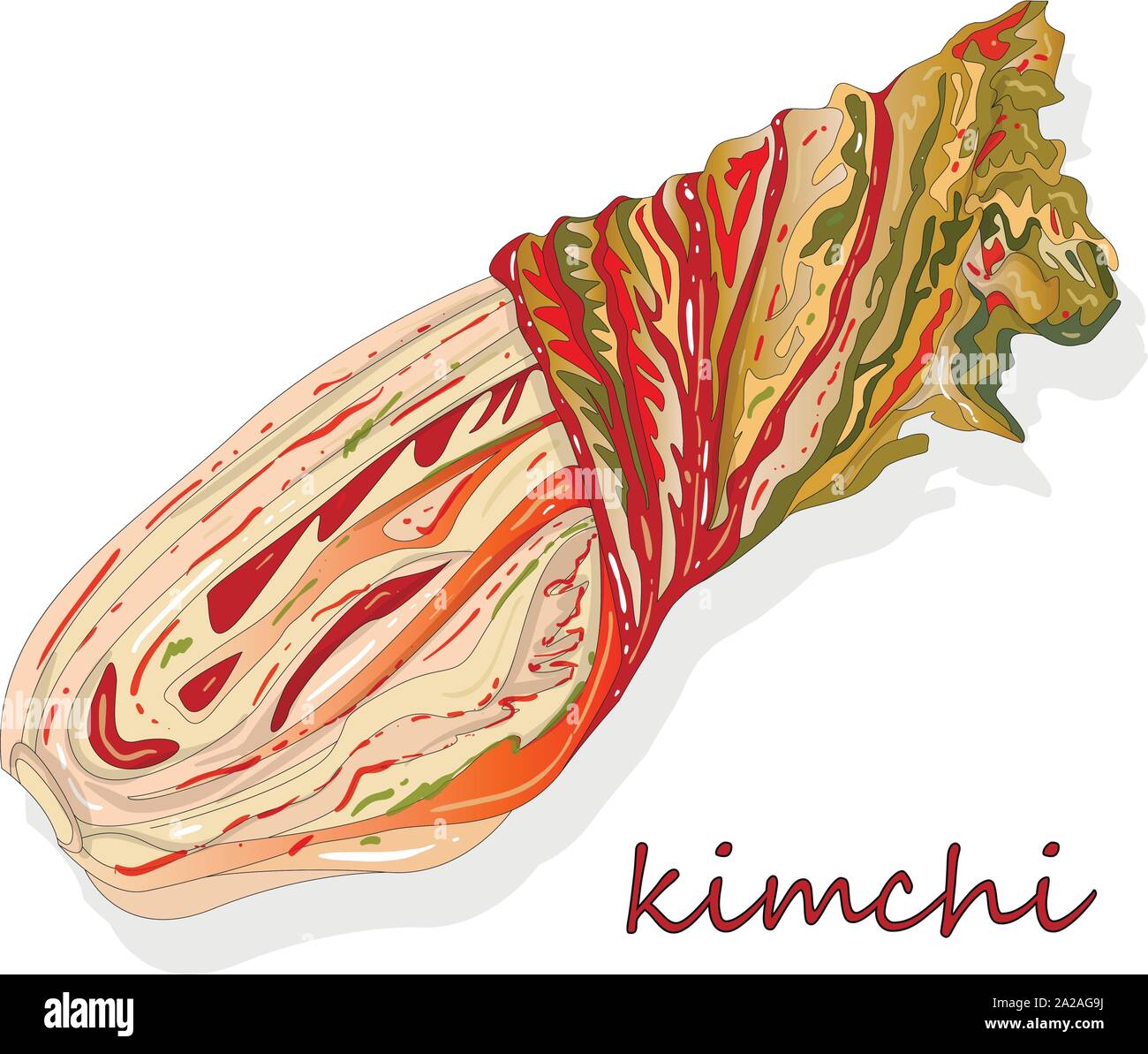 Kimchi, traditional korean food. Illustration on white Stock Vector ...