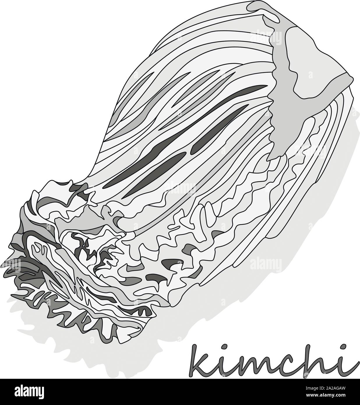 Kimchi, traditional korean food. Illustration on white Stock Vector ...