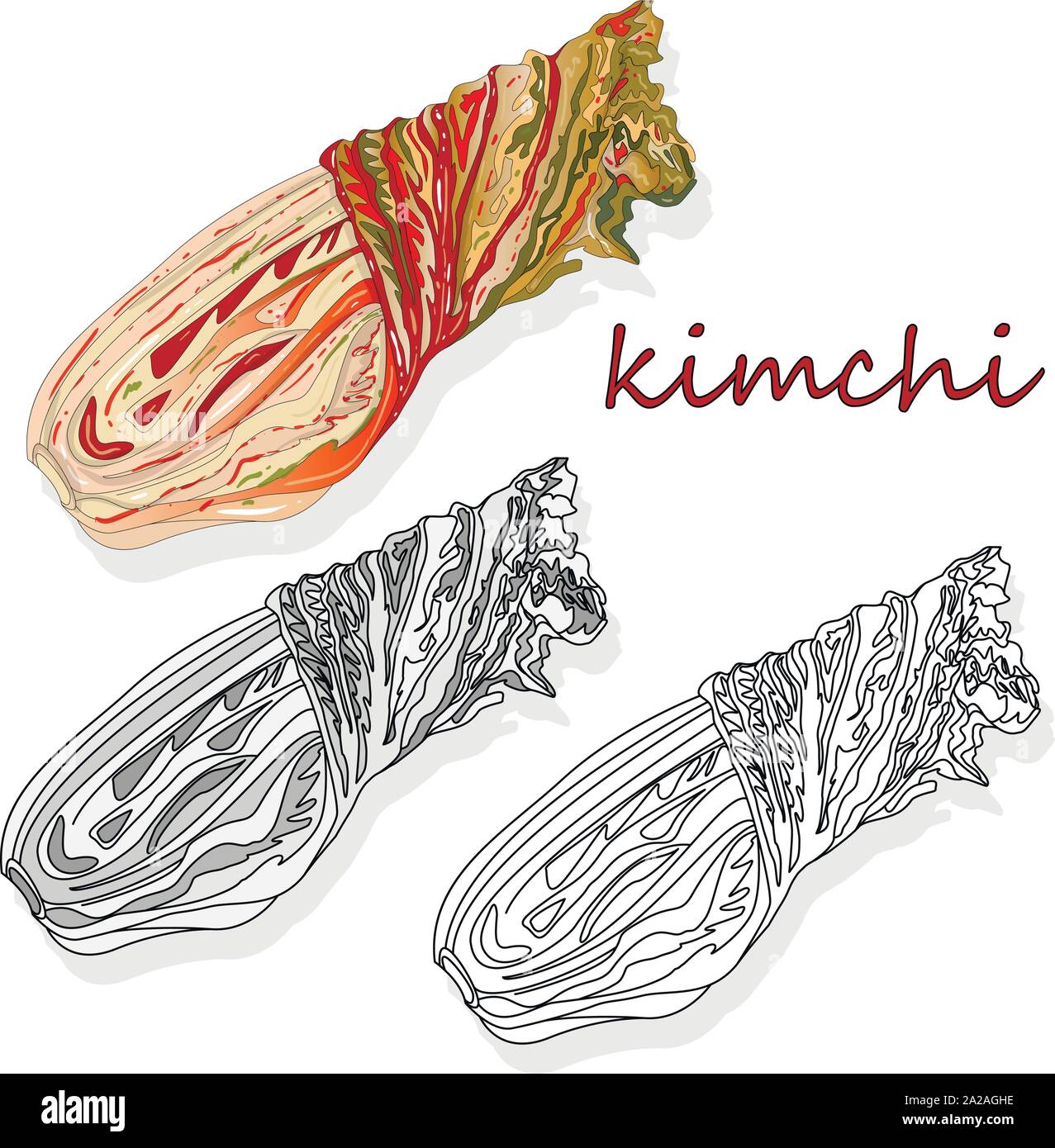 Kimchi, traditional korean food. Illustration on white Stock Vector ...