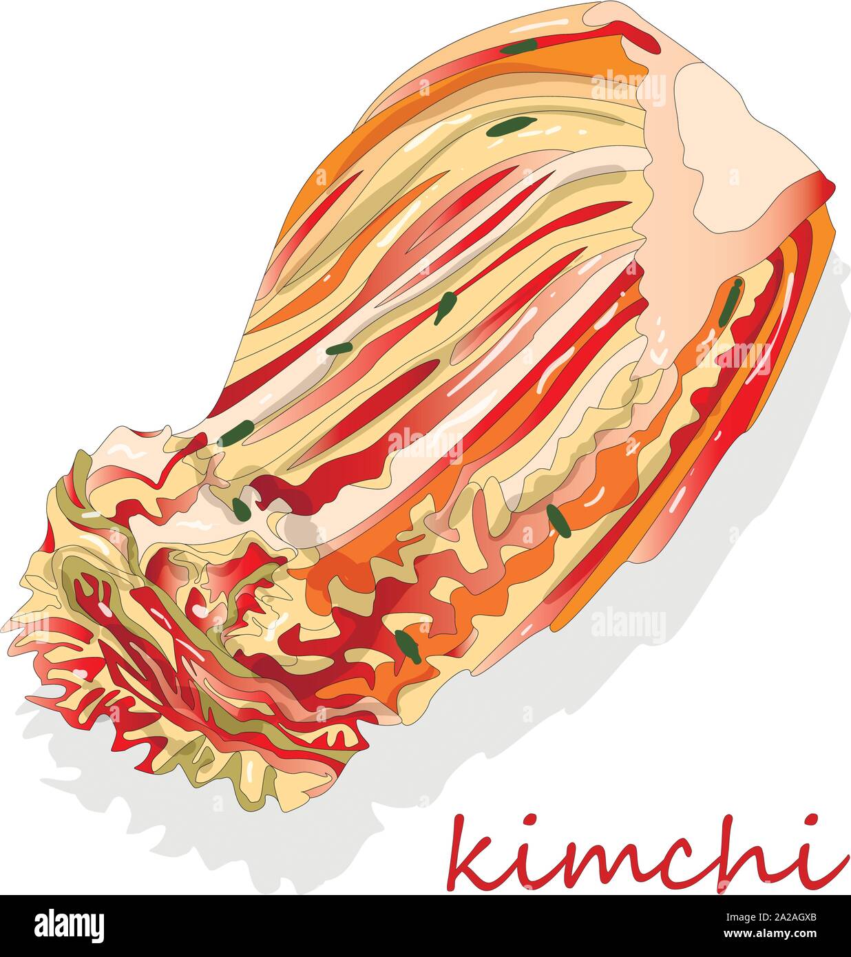 Kimchi, traditional korean food. Illustration on white Stock Vector ...