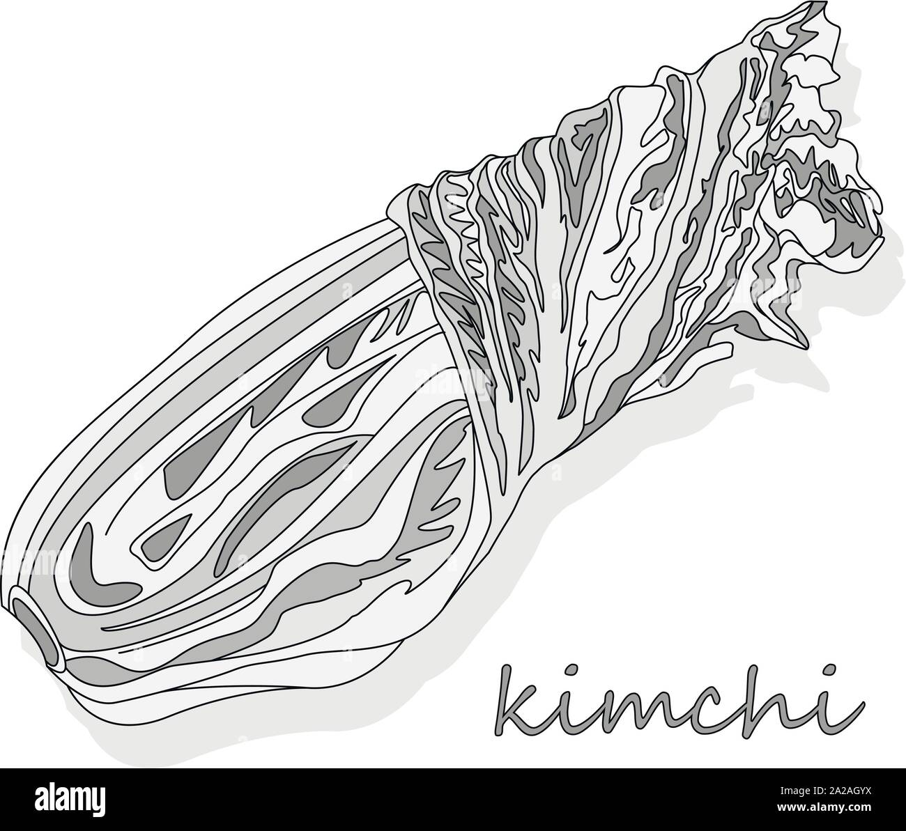 Kimchi, traditional korean food. Illustration on white Stock Vector ...