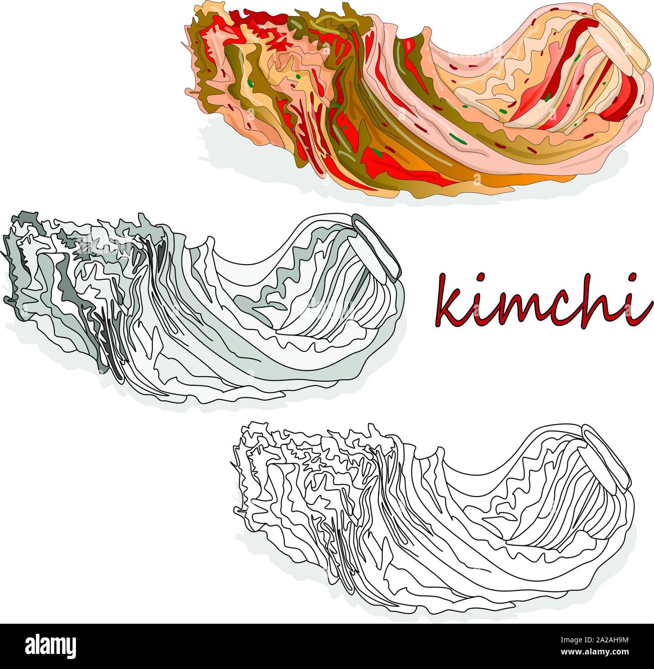 Kimchi, traditional korean food. Illustration on white Stock Vector ...