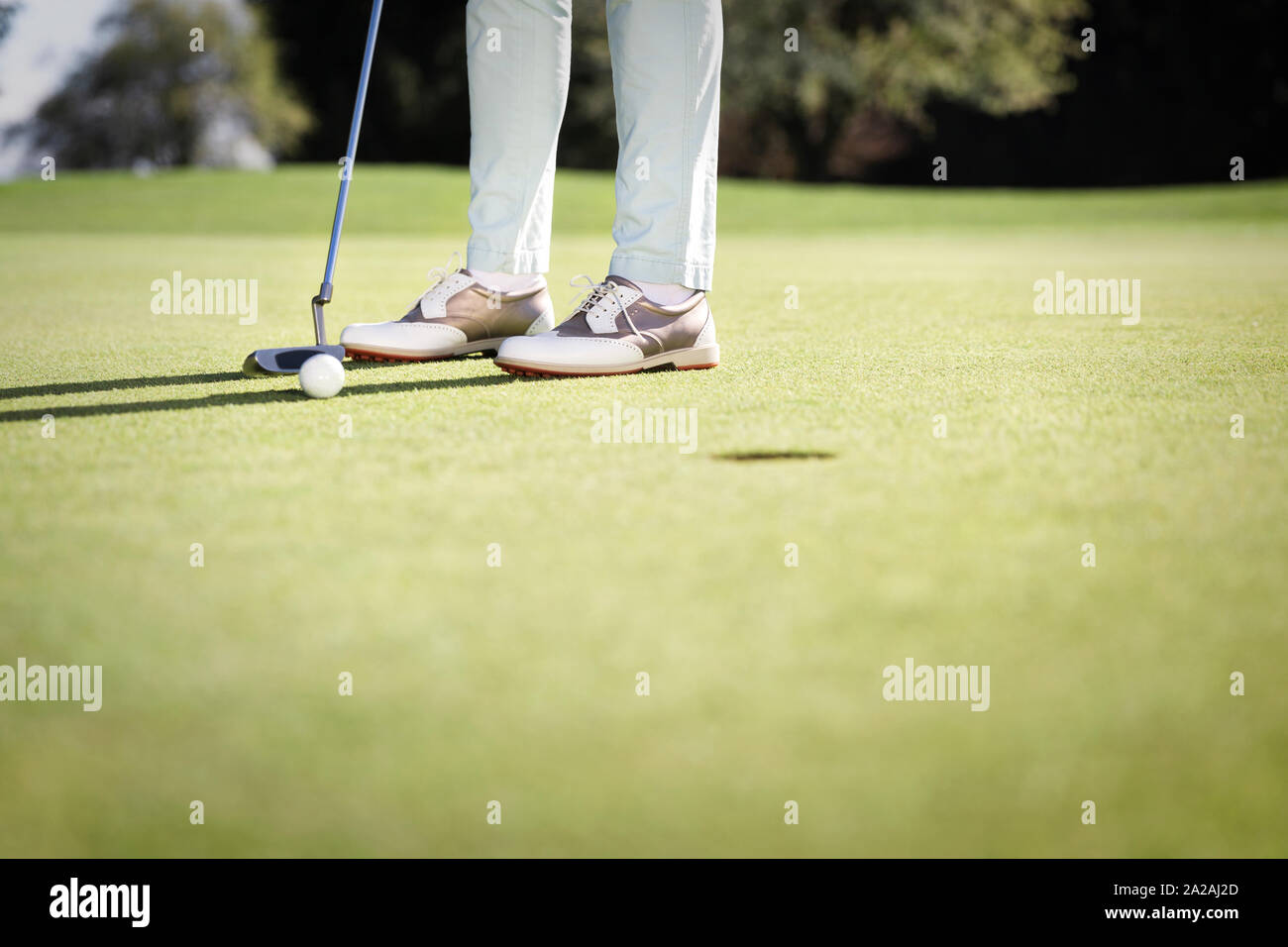Golfer close putting golf hi-res stock photography and images - Alamy