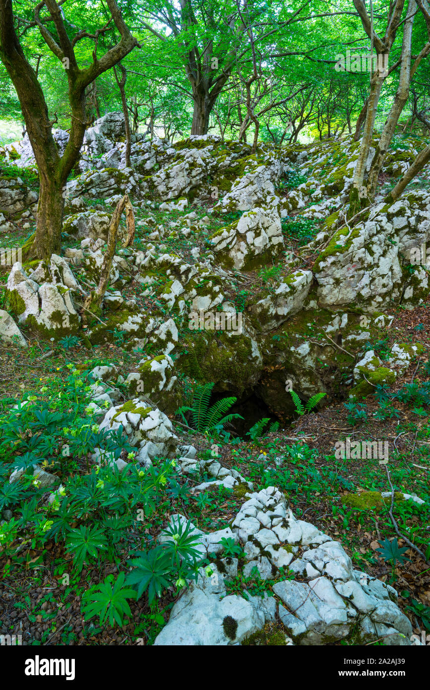 Pit cave, shaft cave or vertical cave, Cerredo Mountain, Castro ...