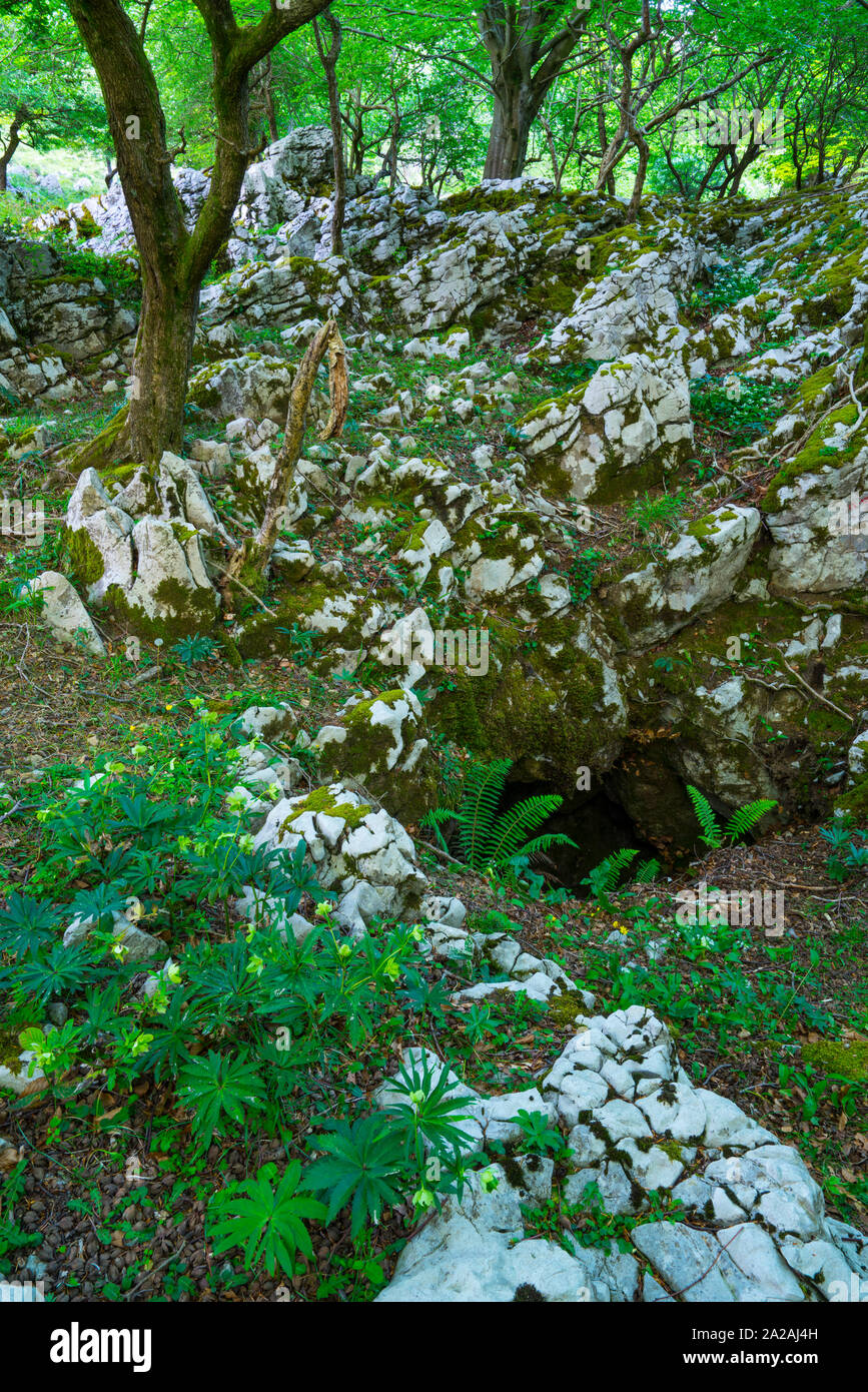 Pit cave, shaft cave or vertical cave, Cerredo Mountain, Castro ...